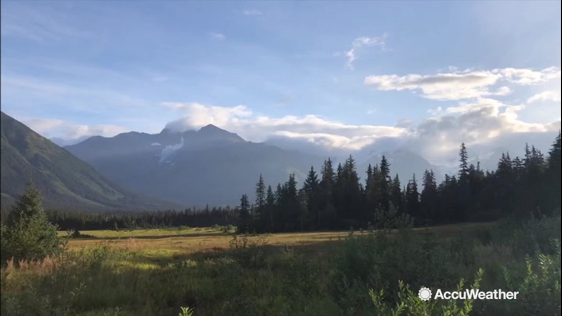 If you're having a rough day, just take a few seconds to watch this ...