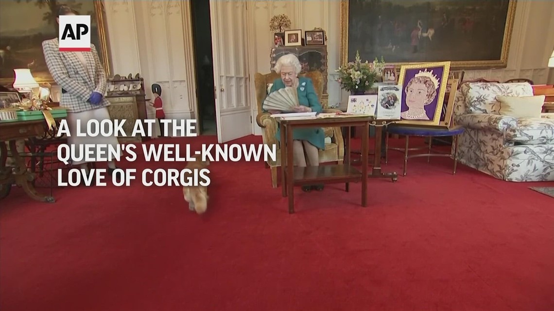 A look at the Queen's well-known love of Corgis | kare11.com