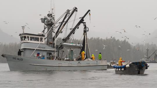 5 missing after boat reportedly capsizes near Alaska | kare11.com