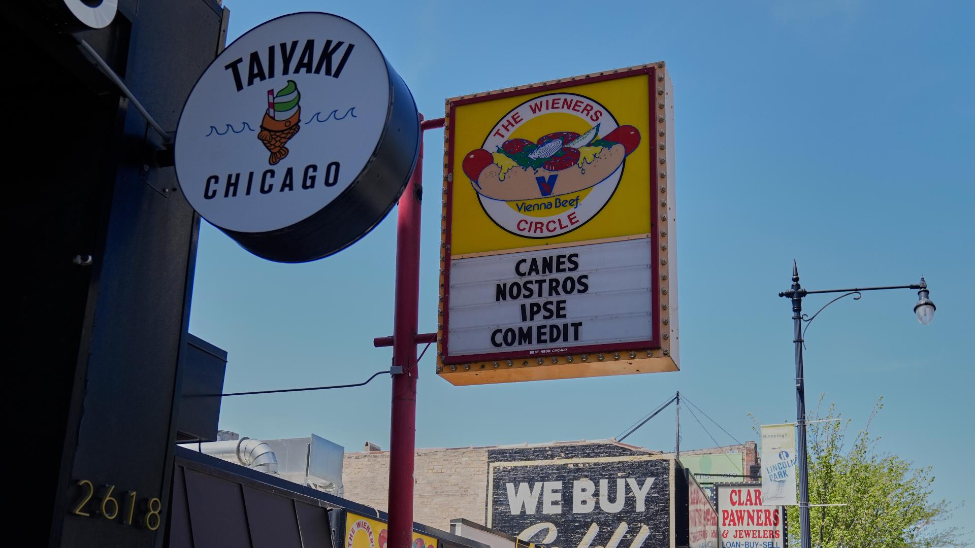 Chicago celebrates hometown pope with endless memes and jokes | kare11.com