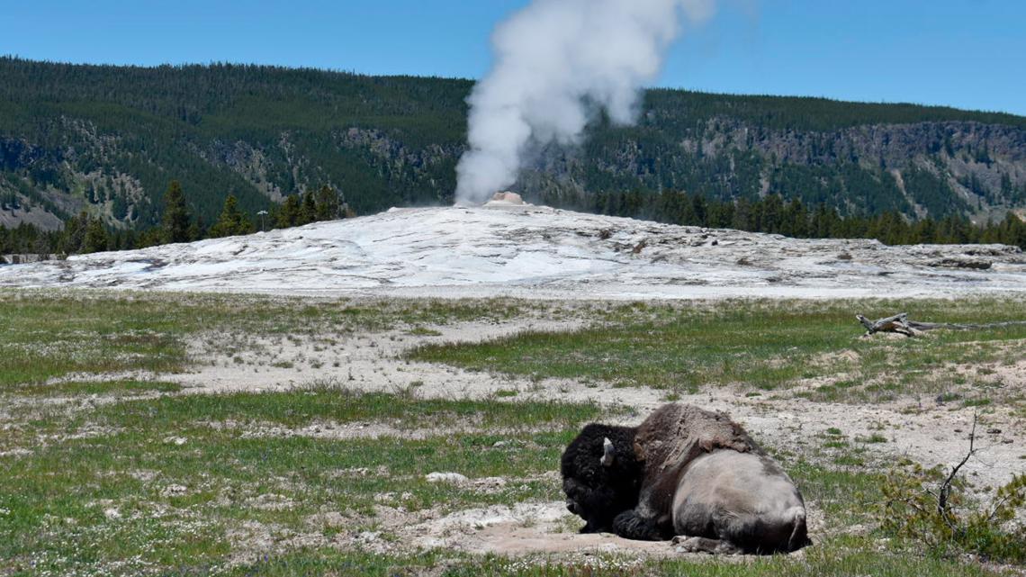 Yellowstone tourist suffers 3rd-degree burns after leaving trail ...
