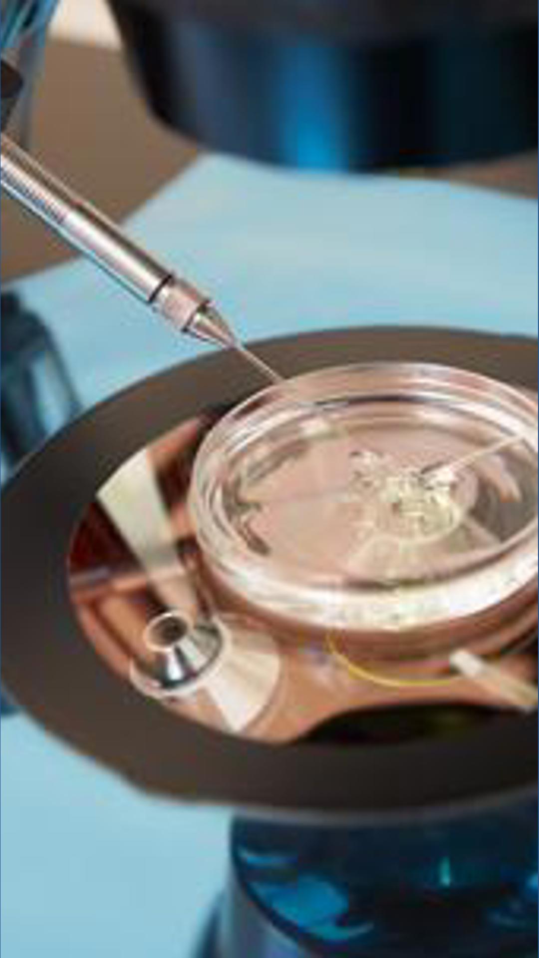 Florida couple will keep custody of child after IVF mix-up | kare11.com