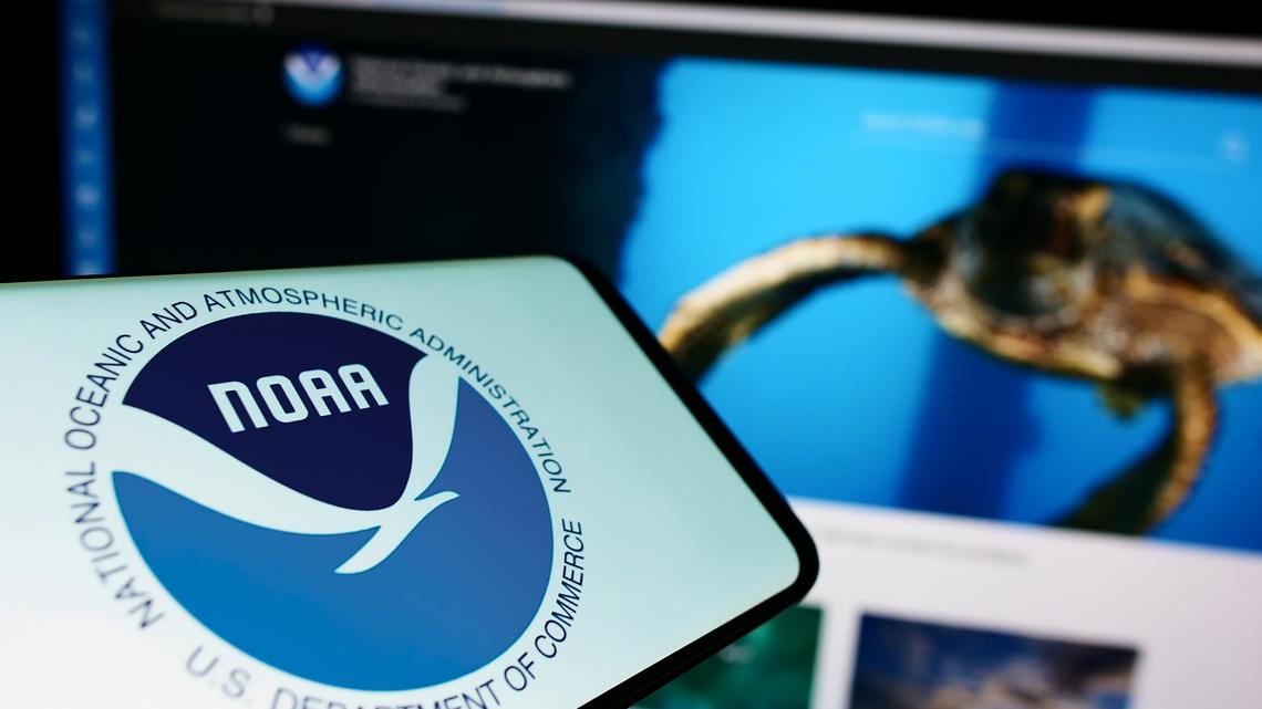 Steven Bailey pleads guilty in deadly DUI crash at Park Tavern | kare11.com