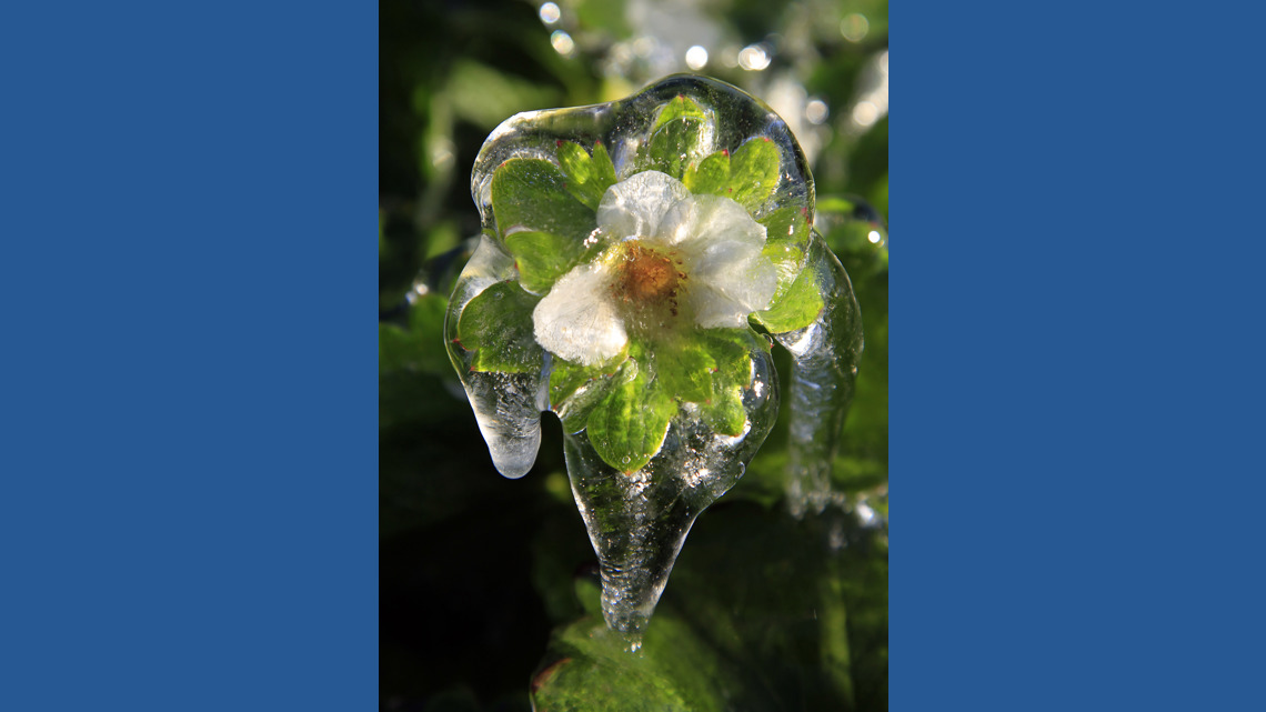 Slick City Action Park opens in Maple Grove | kare11.com