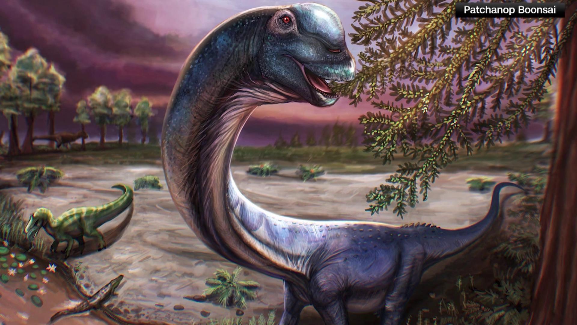 New giant dinosaur species identified from fossils unearthed in ...