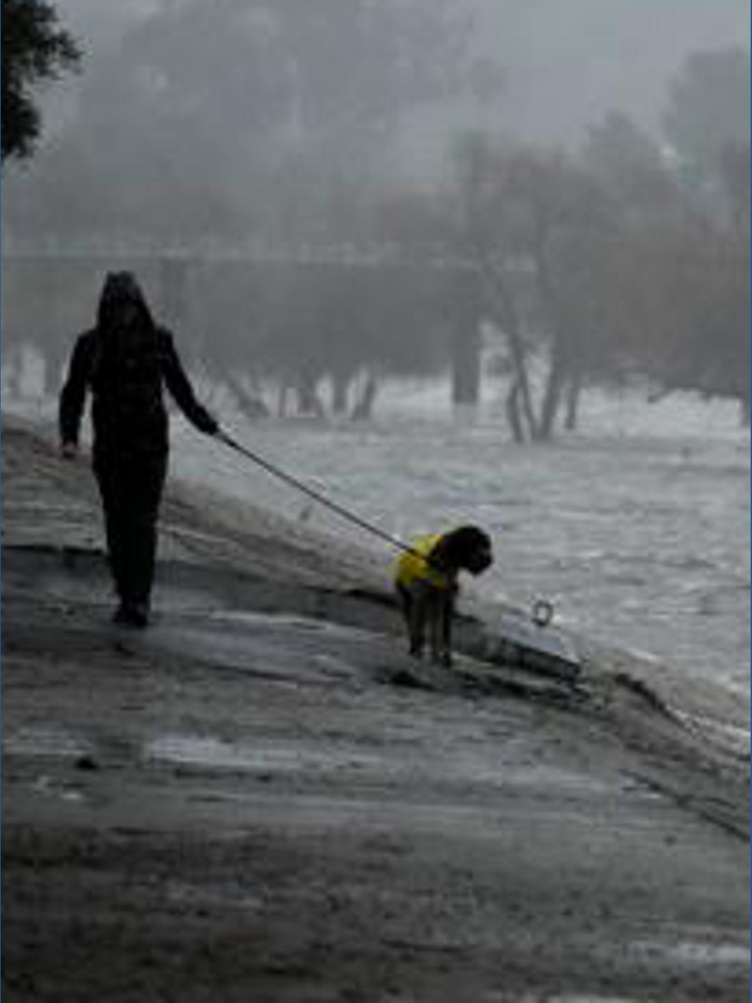 Hao Nguyen enters Hennepin County Attorney race | kare11.com