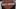 More than 88,000 Harley Davidson motorcycles recalled due to issue that ...