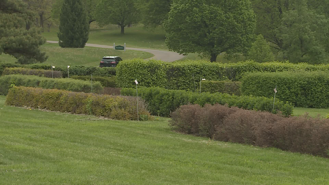 Grow with KARE: Our favorite hedges | kare11.com