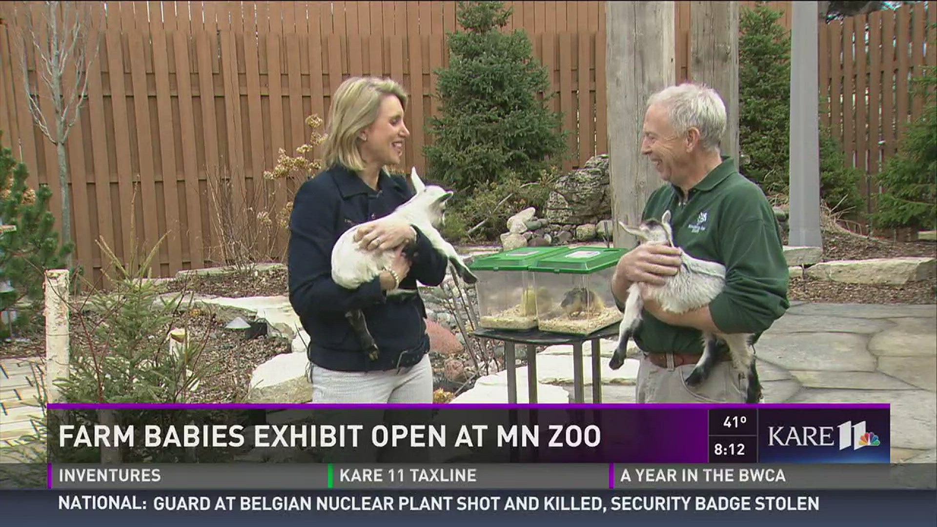Farm Babies are back at the Minnesota Zoo | kare11.com