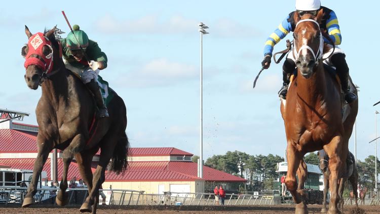 Canterbury Park opens May 2, live horse racing returns May 23 | kare11.com