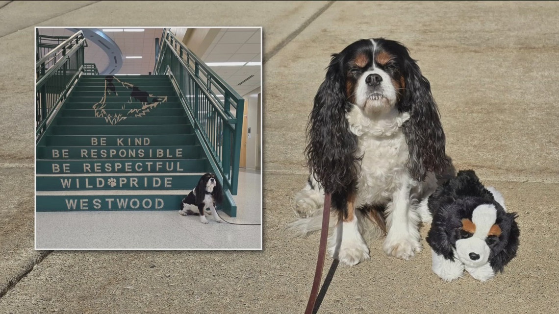 Your Good News: Chelsea Janke, Wendy, Mackenzie | kare11.com