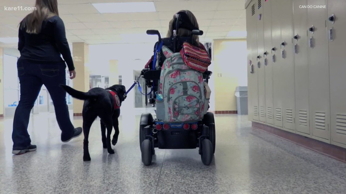 Can Do Canines offers help to people with disabilities through service ...
