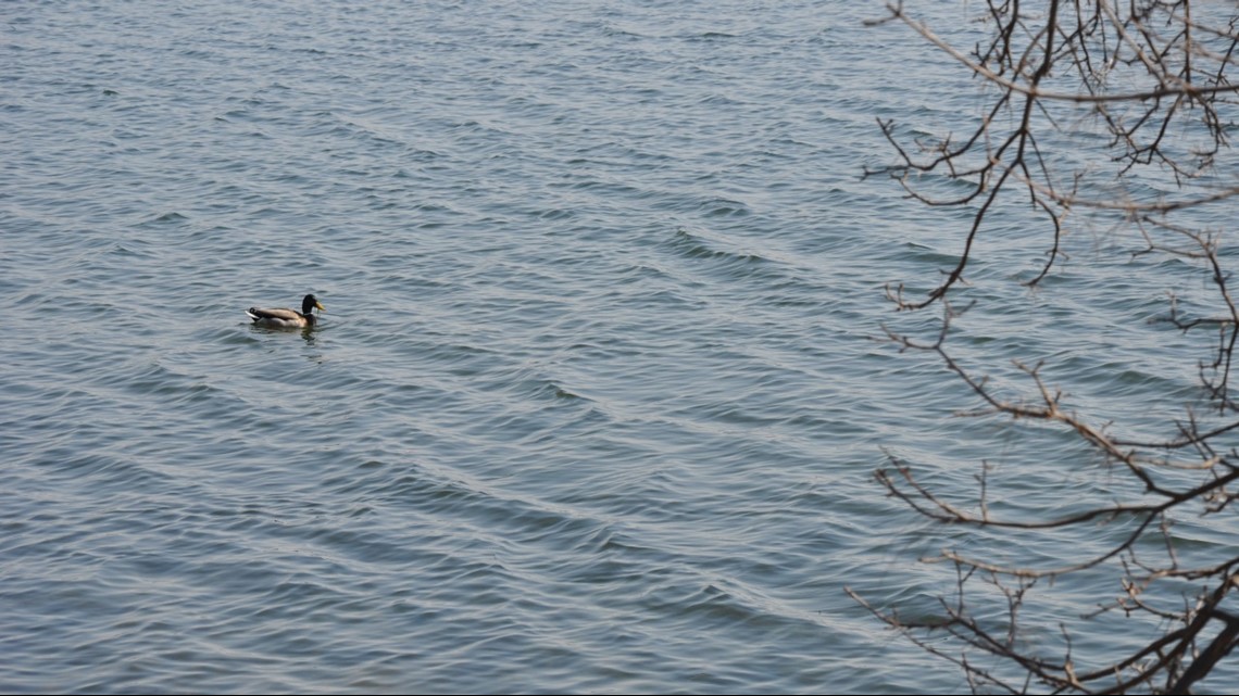 Elderly woman dies in Lake Vermilion | kare11.com