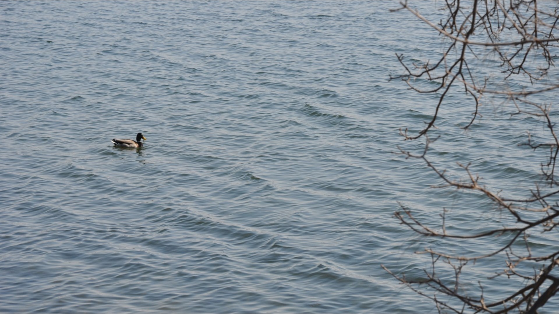 Man drowns in Crow Wing County lake | kare11.com