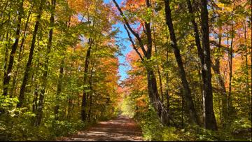 11 Minnesota apple orchards to check out this fall | kare11.com