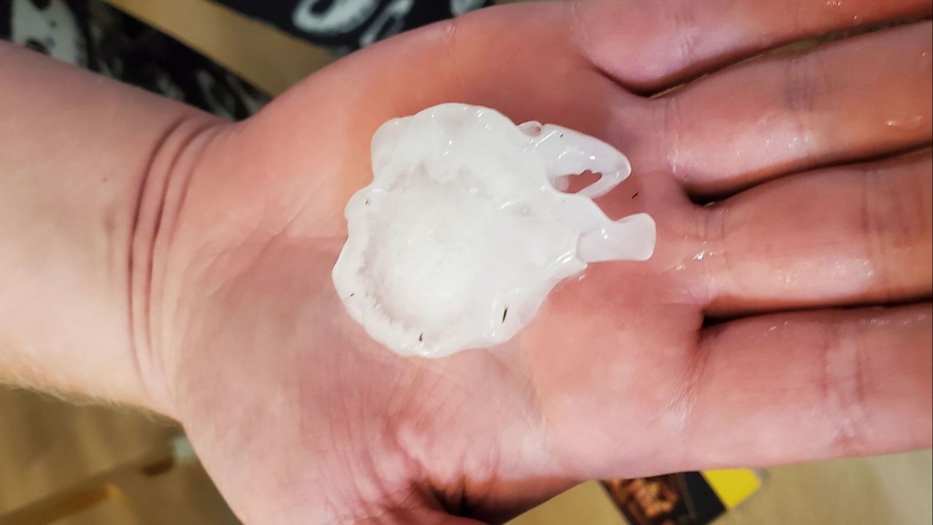 Hail pictures from River Falls | kare11.com