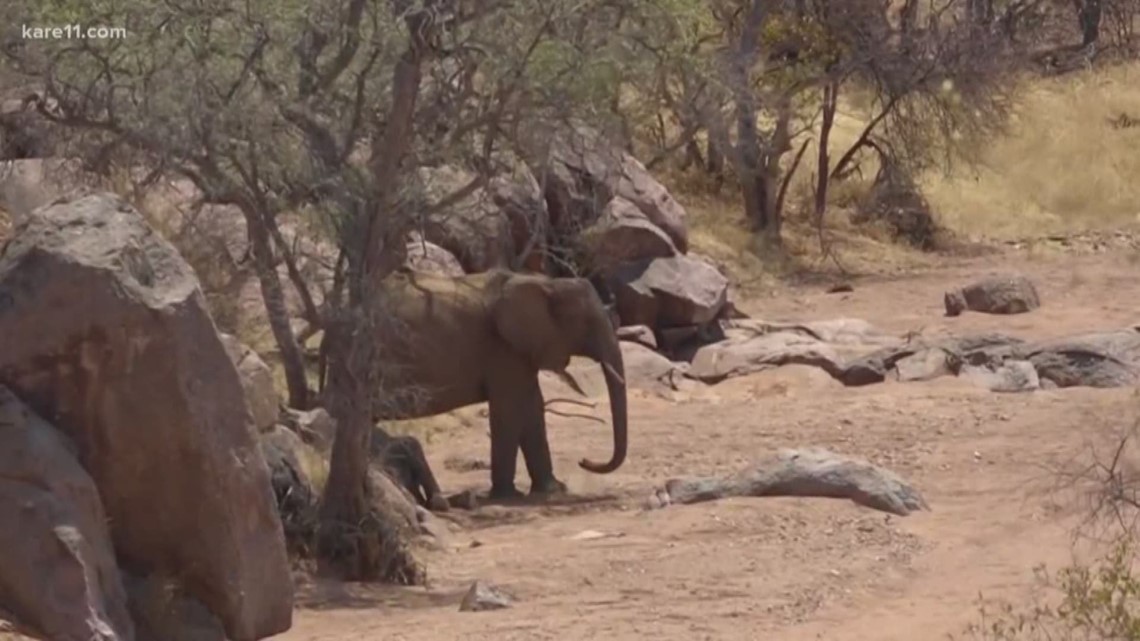 Explore with Sven: Tracking elephants in Namibia | kare11.com