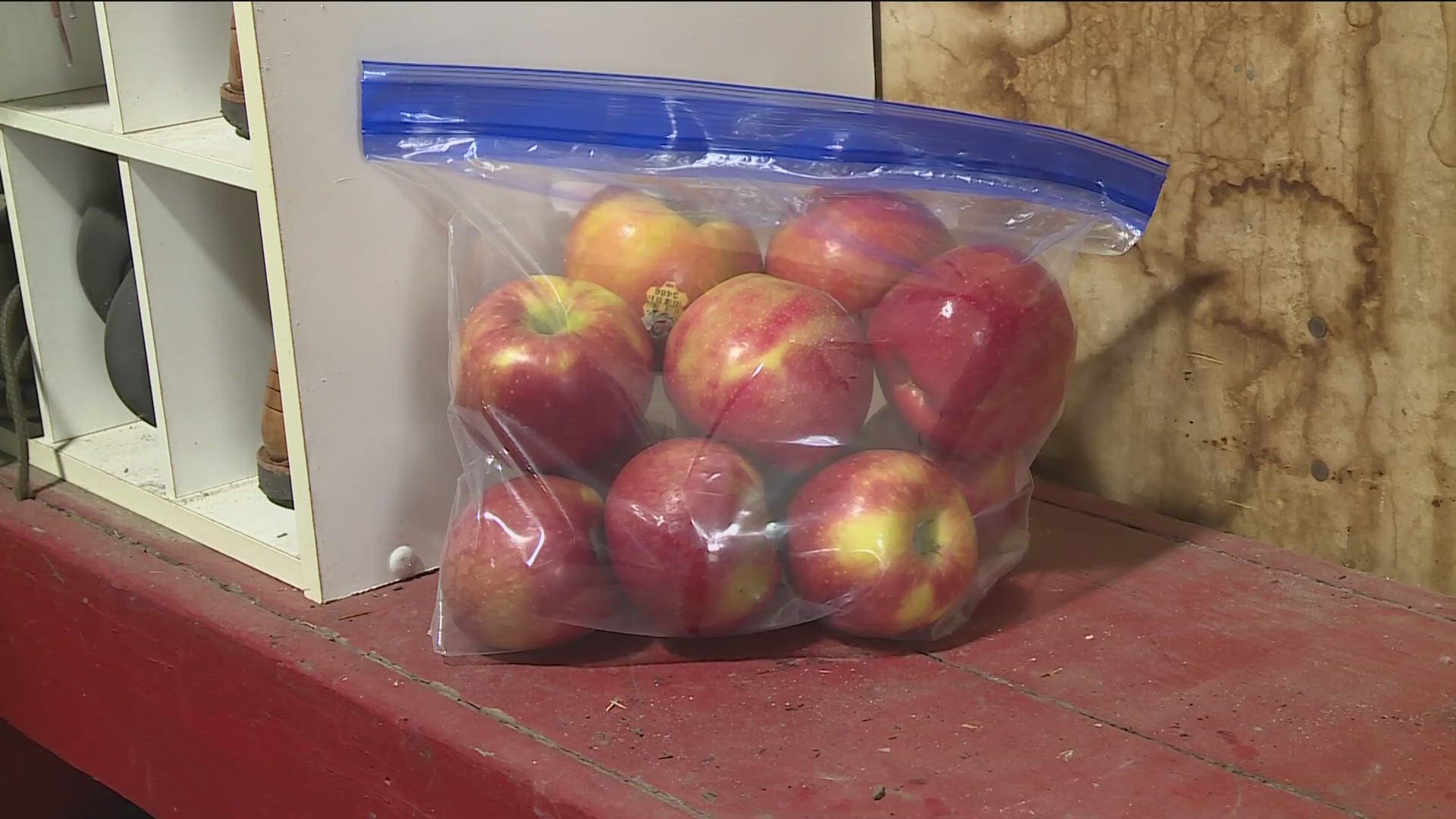 Store apples long into winter with these expert tips | kare11.com