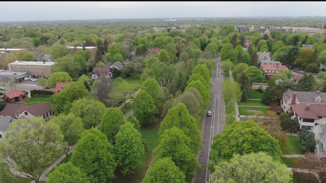 Future of St. Paul's Summit Avenue under discussion | kare11.com