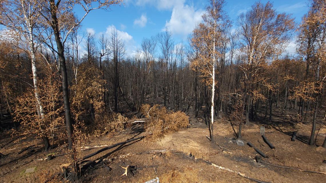 Cabin owner shares photos of Greenwood Fire damage | kare11.com