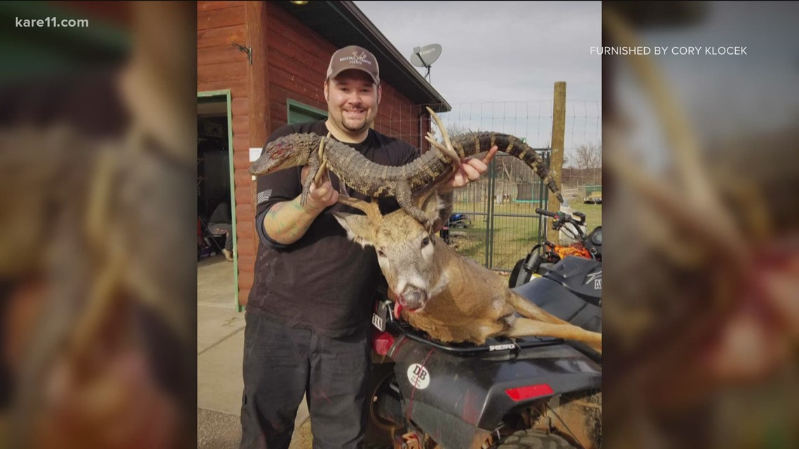 'Holy cow, there's an alligator!' | Minnesota hunter shoots alligator ...
