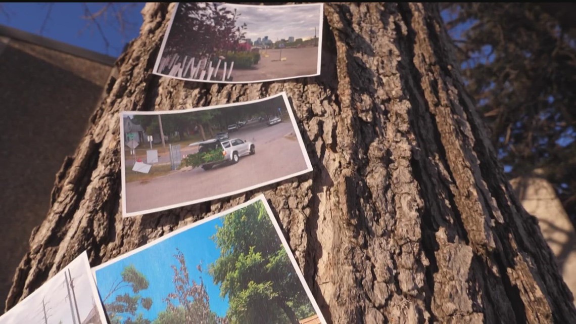 Minneapolis tree lottery opens | kare11.com