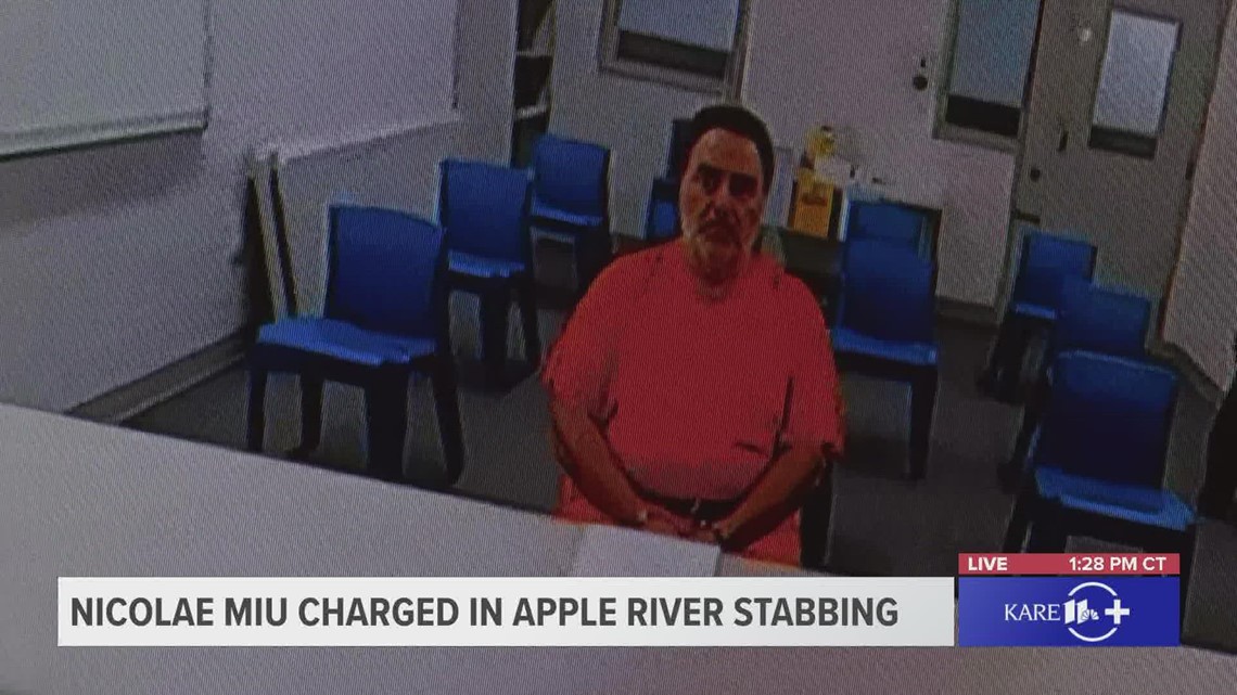 Apple River stabbing suspect Nicolae Miu makes first court appearance ...