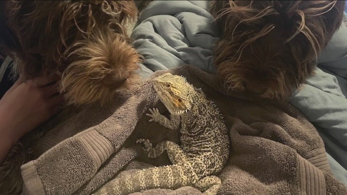 Your Good News: Sue Kelly, Mary Kummer, Allan Pavek & Norm Stocker ...