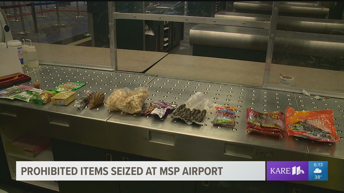Airport officials seize hundreds of pounds of bushmeat, other ...