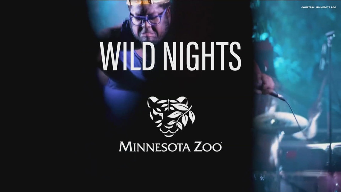 2024 Wild Nights at the Minnesota Zoo | kare11.com