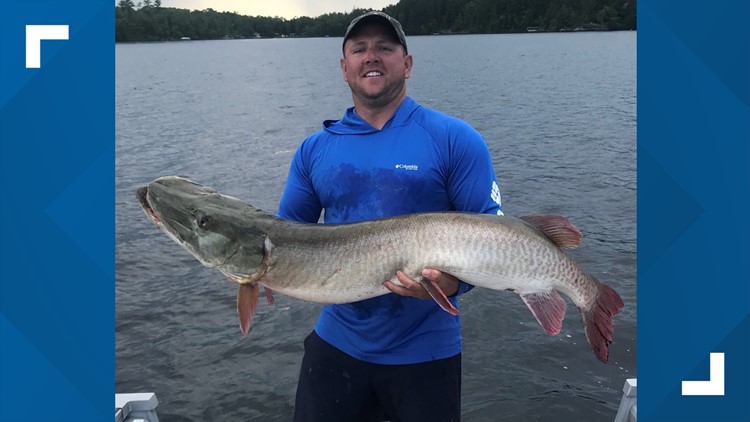 MN DNR certifies new catch-and-release state record muskie | kare11.com