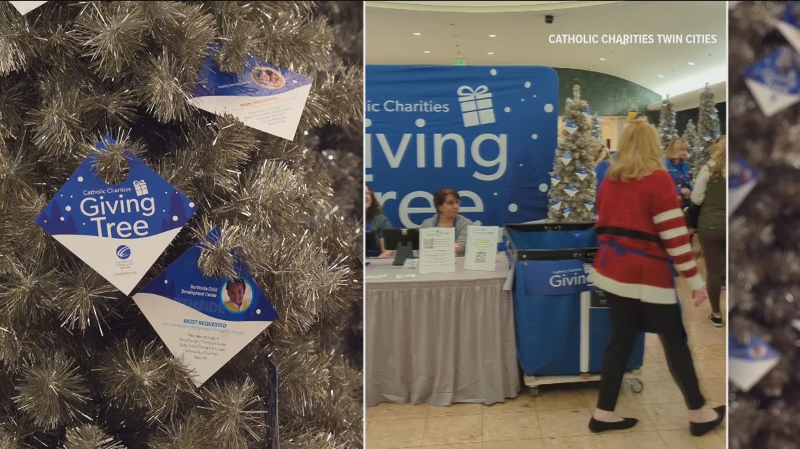 Catholic Charities hosts fundraising event at Mall of America for ...