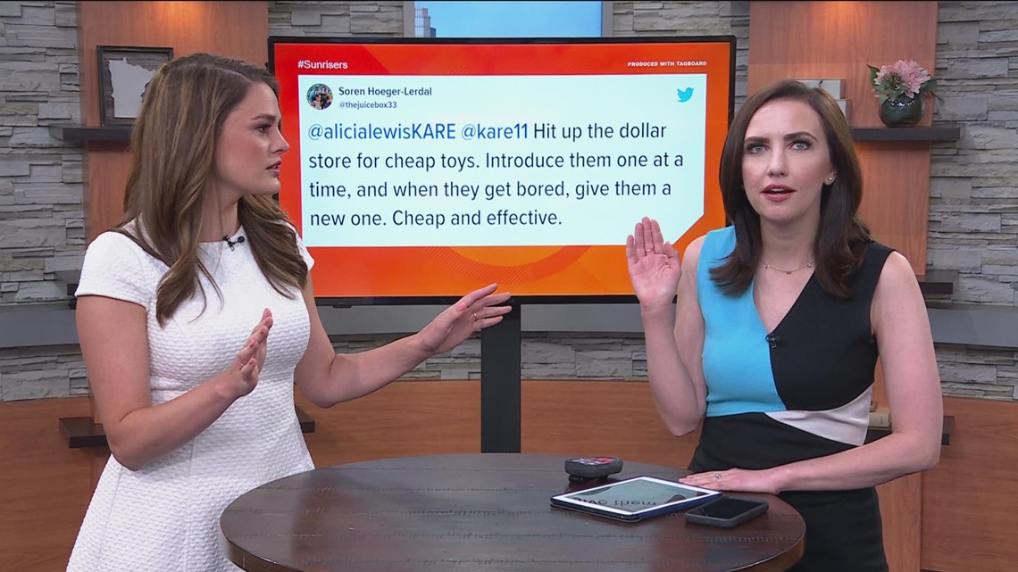 Read the letter from accused Jayme Closs kidnapper Jake Patterson to ...