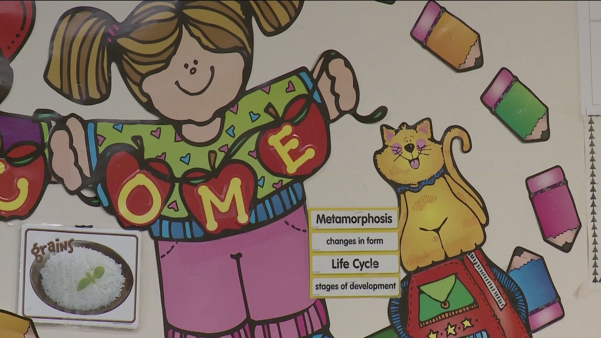 Winona Ice Park opens for the season | kare11.com