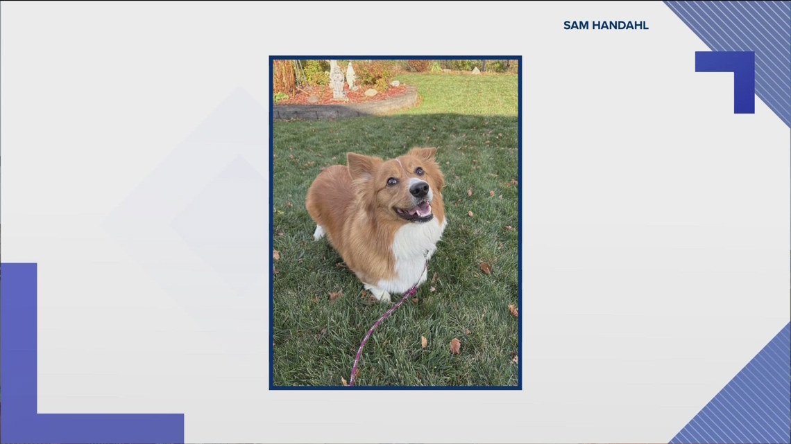 Your Good News: Corey Harbison, Sam Handahl, Susan Freivalds | kare11.com