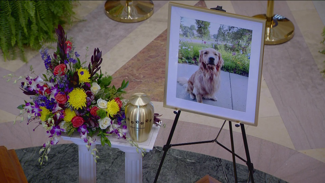 Golden Retriever Gilbert mourned at State Capitol | kare11.com