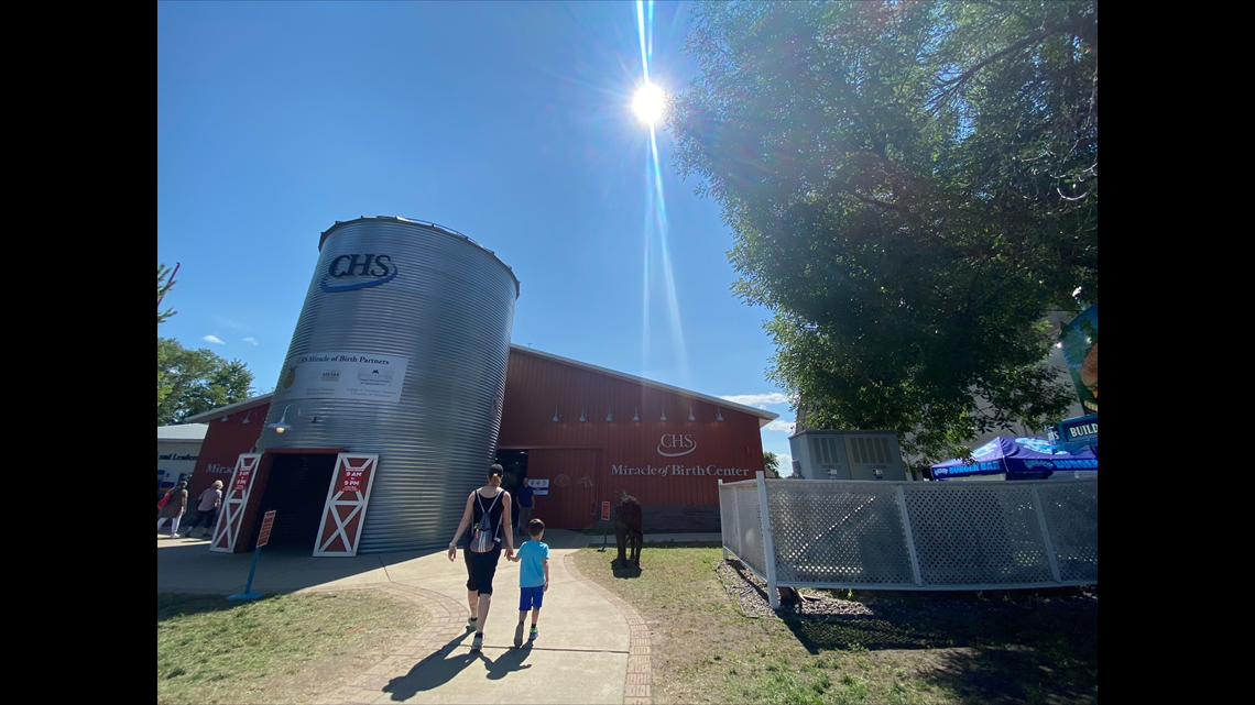 PHOTOS: Minnesota State Fair animals | kare11.com