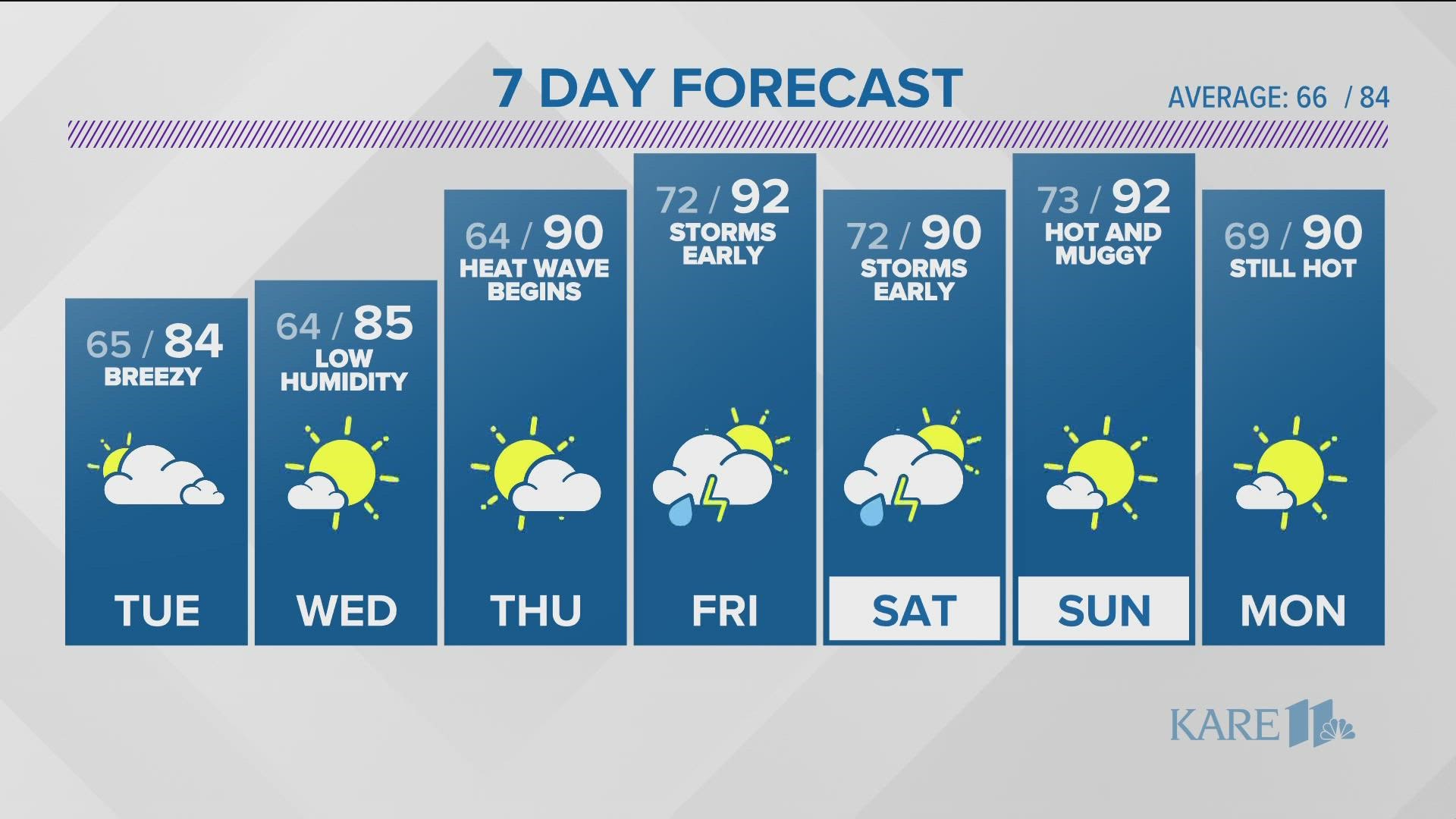 Invasive lily leaf beetle discovered in Minnesota by gardener | kare11.com
