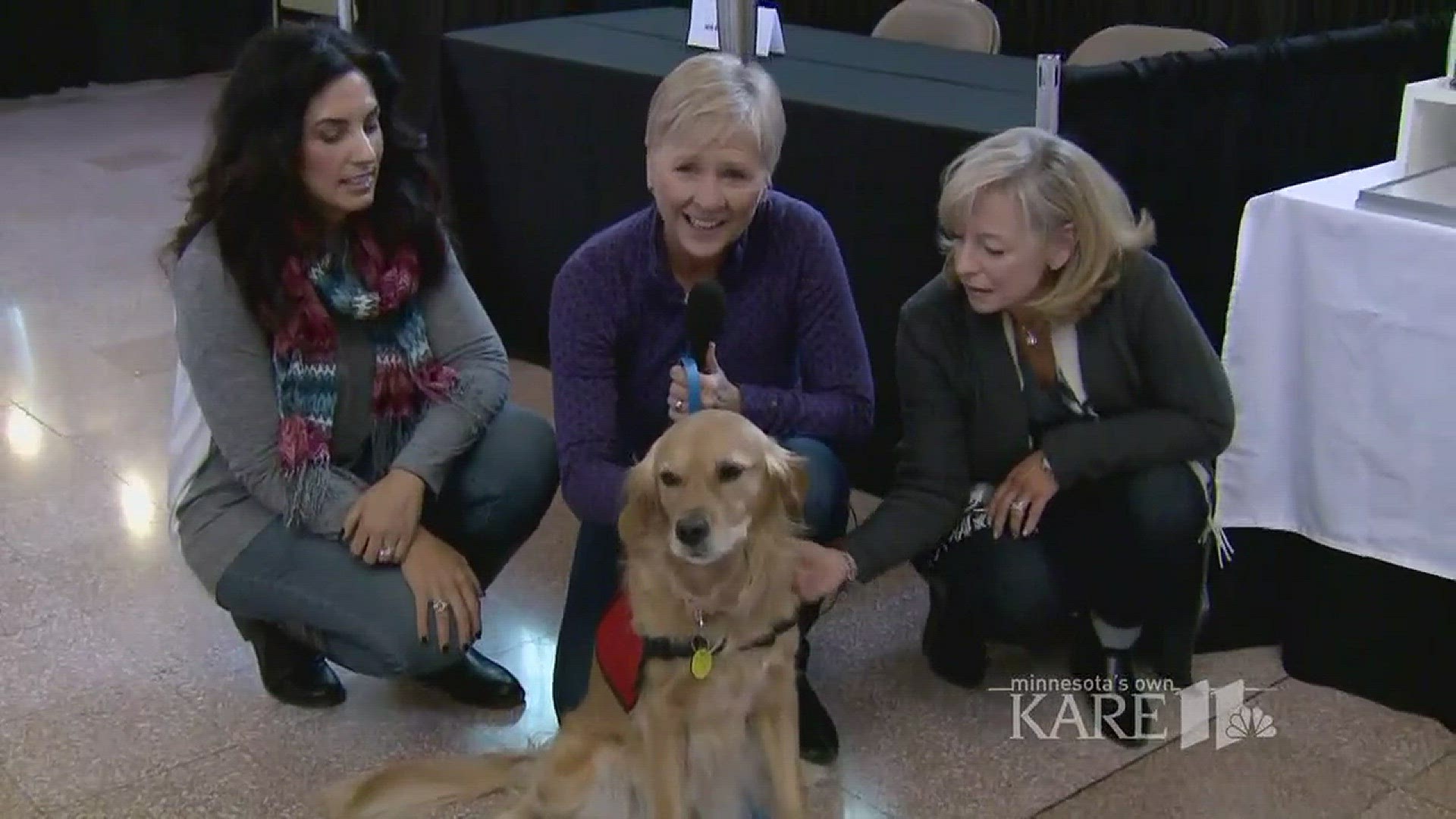 Doggie Depot crowns the doggie king and queen of Winter Carnival ...
