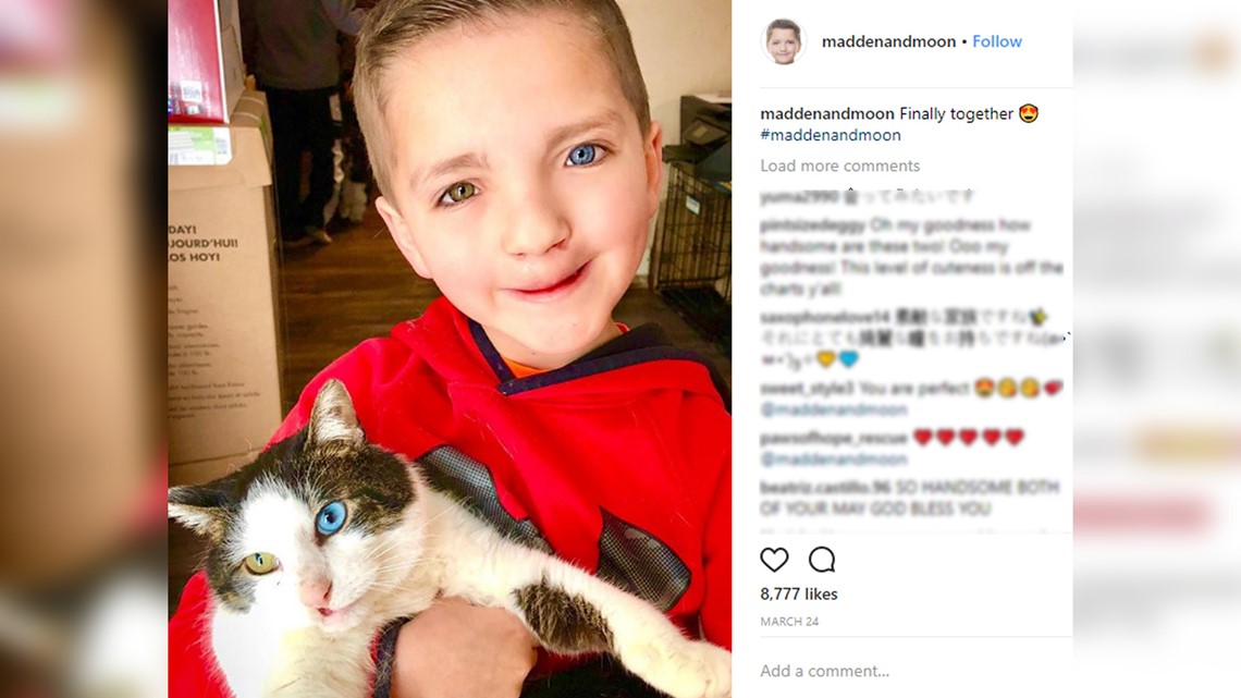 Bullied boy adopts cat who shares his differences | kare11.com