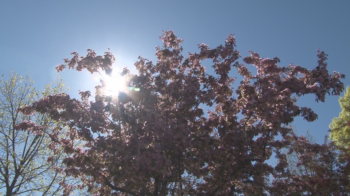 Grow with KARE: Trees, allergies and pollinators | kare11.com