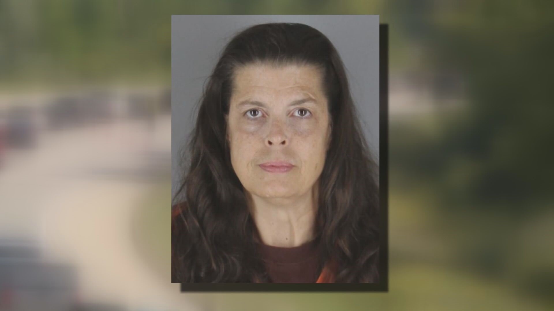 Plea deal for driver who killed Wayzata officer | kare11.com