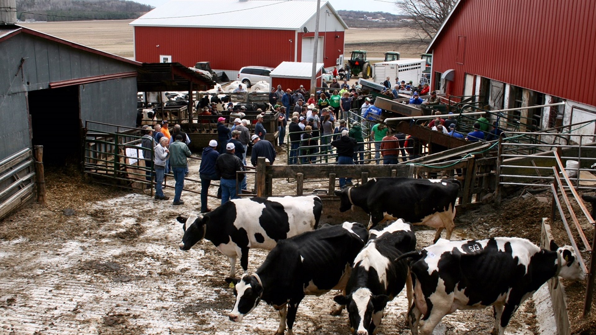Huppert Dairy among hundreds selling out | kare11.com