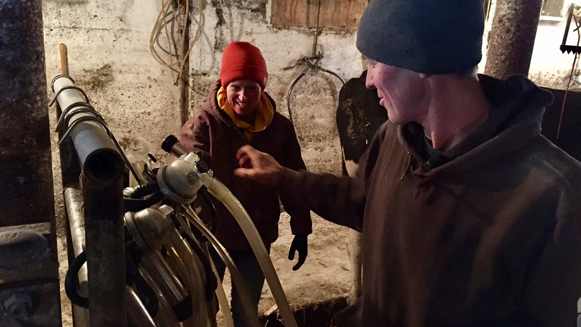 Huppert Dairy among hundreds selling out | kare11.com