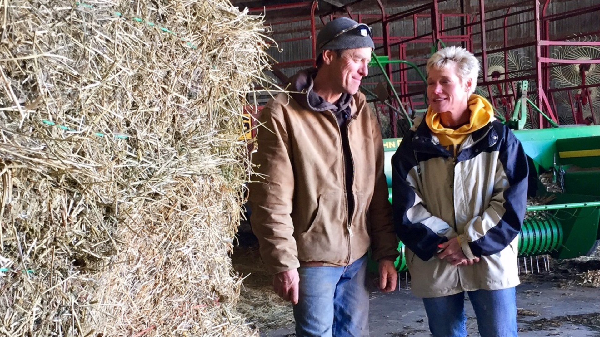 Huppert Dairy among hundreds selling out | kare11.com