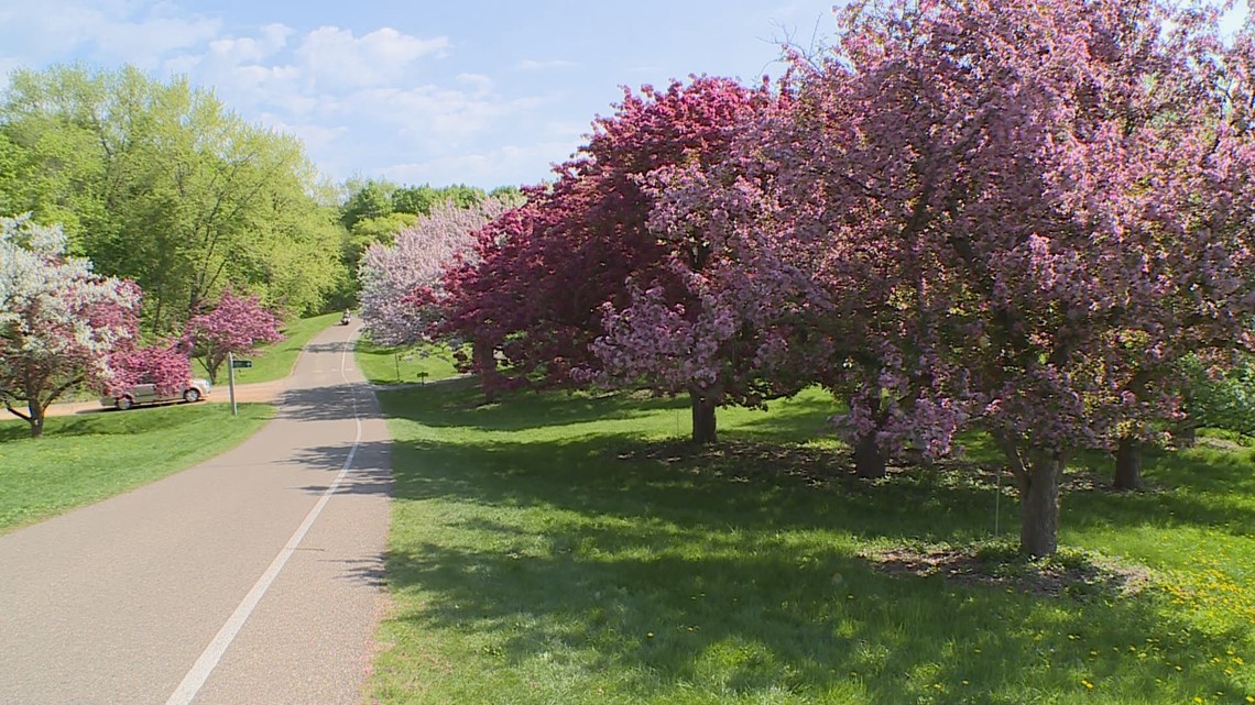 Grow with KARE: Crabapples | kare11.com