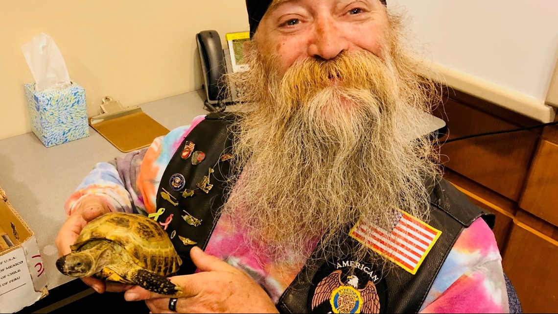 Tortoise reunited with likely owner after winter adventure | kare11.com