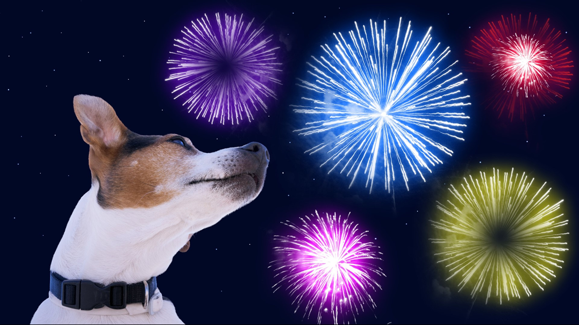 Tips to keep your pets safe and calm during fireworks | kare11.com