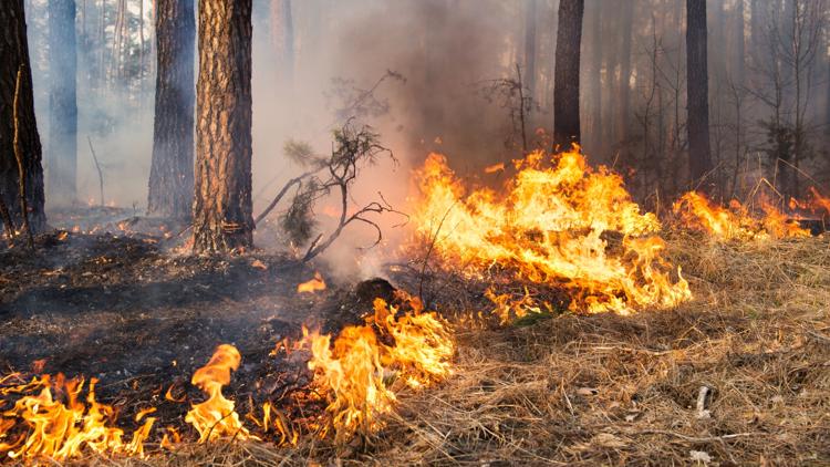 The new 924 area code is coming to Minnesota: Here's what to know ...