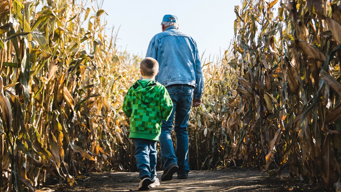 Take part in fall fun at Sever's Fall Festival and Corn Maze | kare11.com